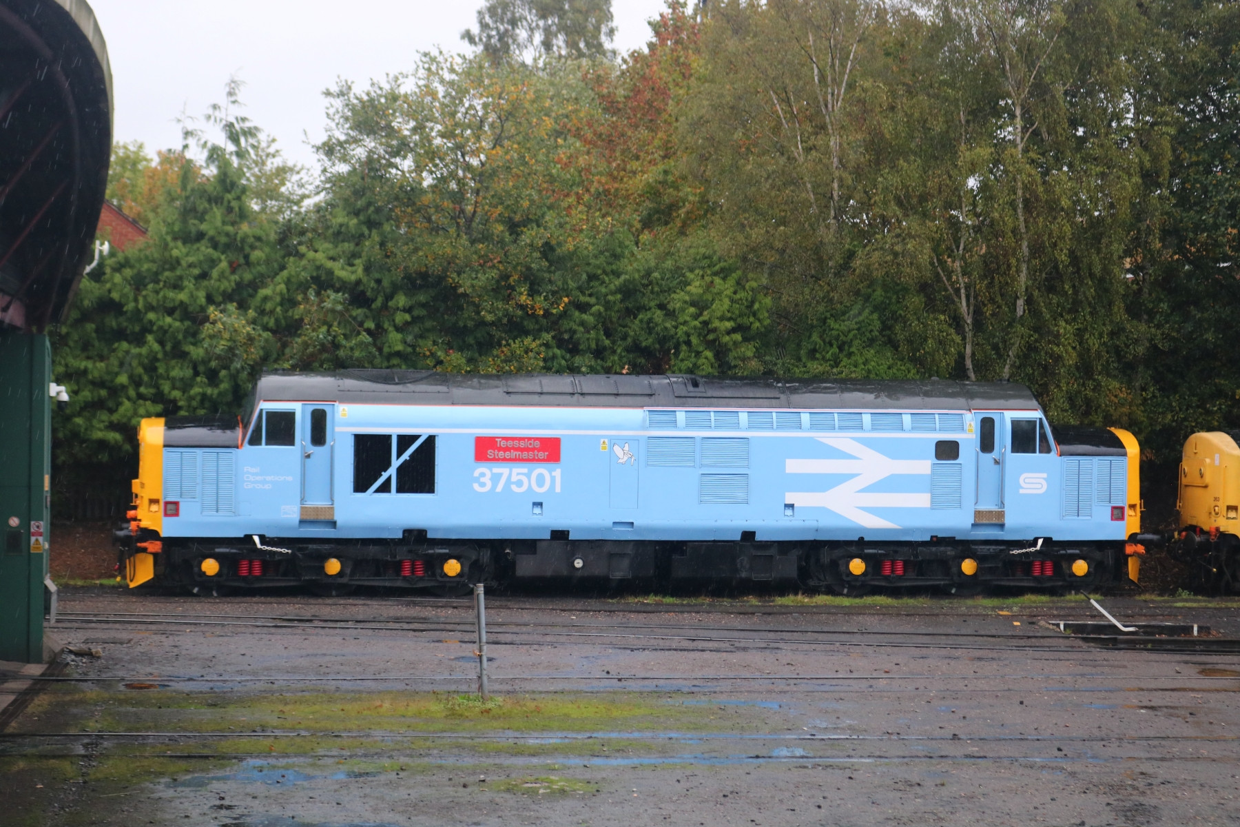Photo of 37501 at Kidderminster TMD - Severn Valley Railway — trainlogger