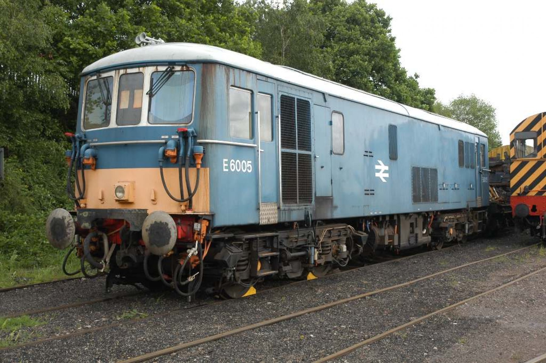 Photo of 73005 at Severn Valley Railway — trainlogger