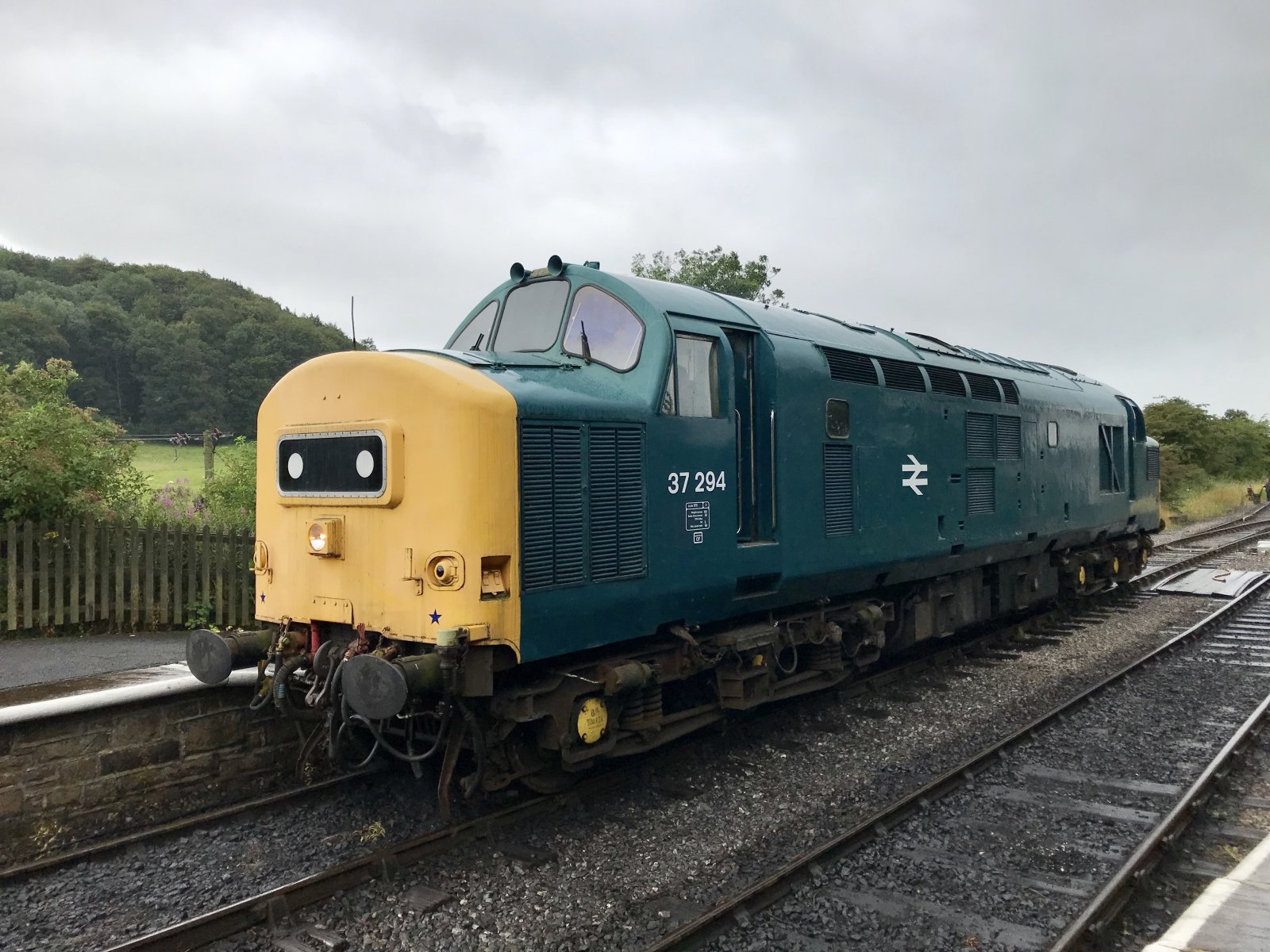 Photo of 37294 at Embsay & Bolton Abbey Steam Railway — trainlogger