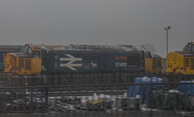 37402 - Class 37 / Locomotives — trainlogger