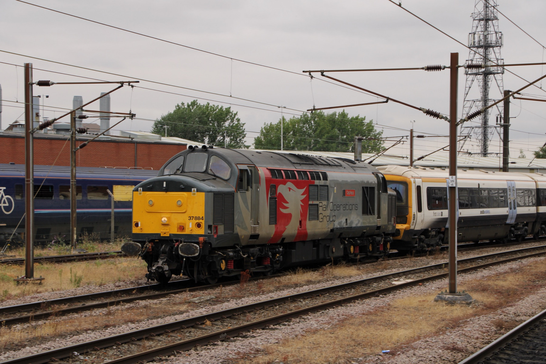 Photo of 37884 at Doncaster — trainlogger