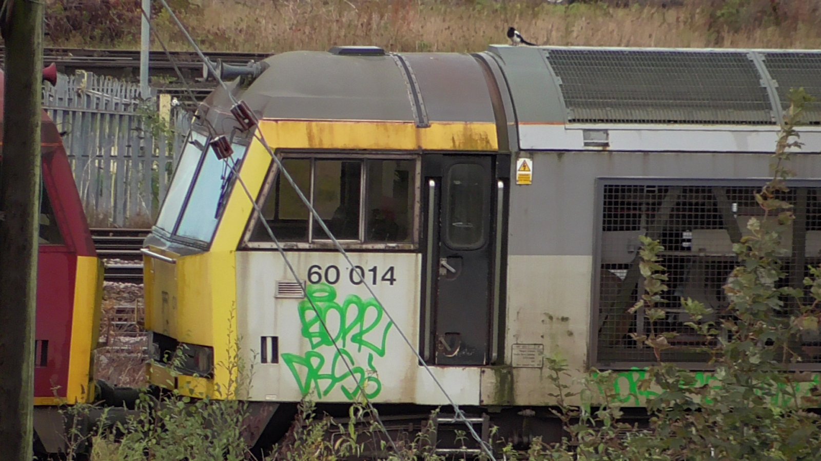 Photo of 60014 at Toton TMD & Yard — trainlogger