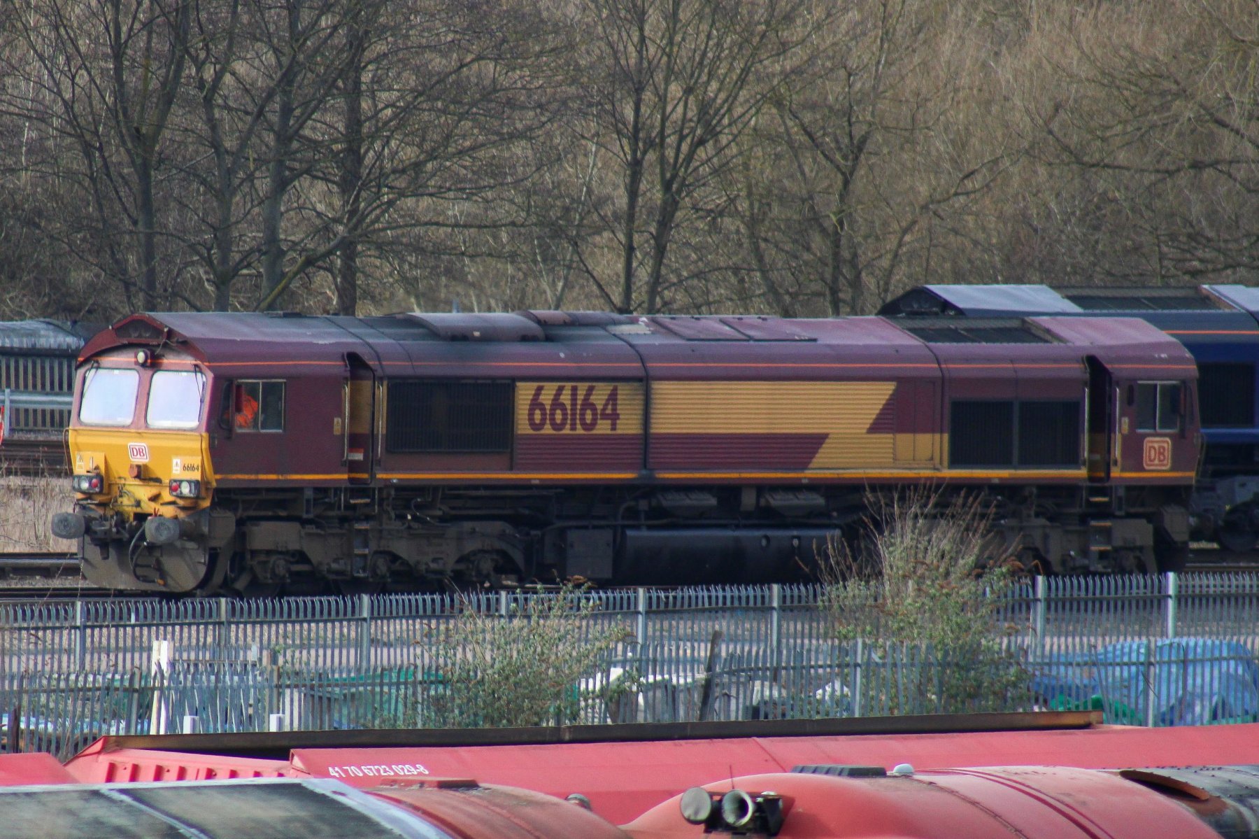 Photo of 66164 at Toton — trainlogger