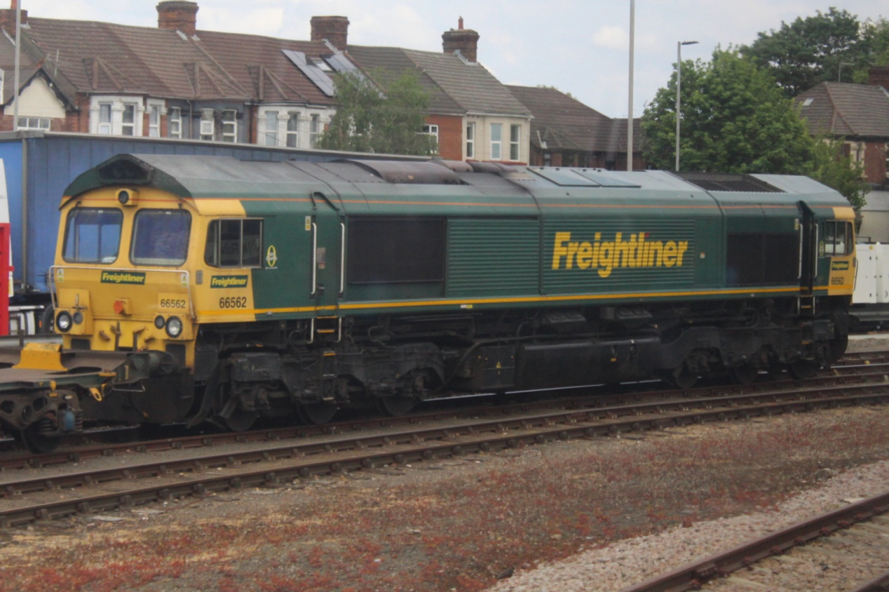 Photo of 66562 at Southampton Millbrook Freightliner terminal — trainlogger