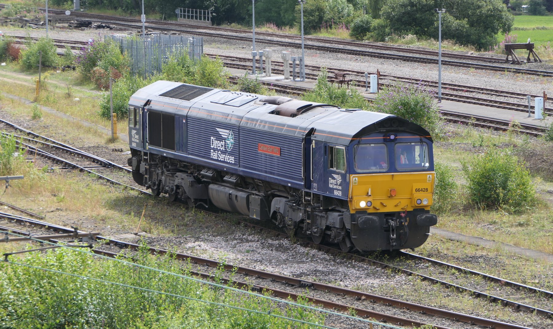 Photo of 66428 at Tyne Yard — trainlogger