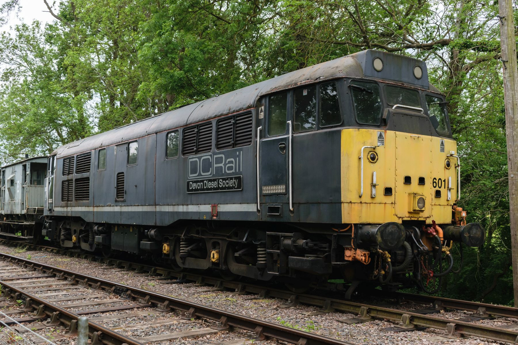 Photo of 31601 at Northampton & Lamport Railway — trainlogger