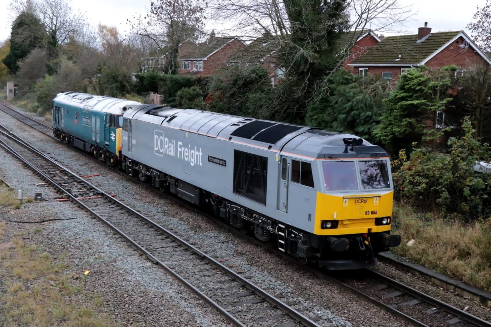 Photo of 60055 and 50008 at Water Orton — trainlogger