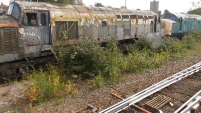 37146 - Class 37 / Locomotives — trainlogger