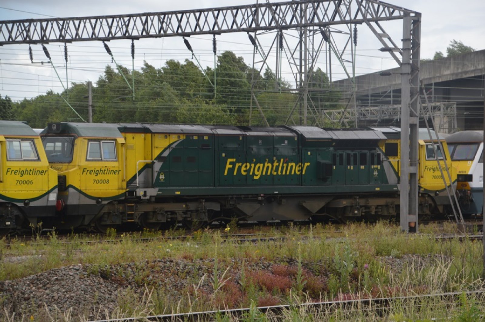 Photo of 70008 at Crewe Basford Hall Freightliner Depot — trainlogger