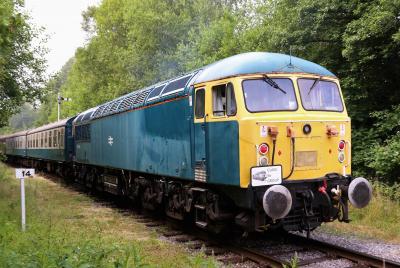 56006 - Class 56 / Locomotives — trainlogger