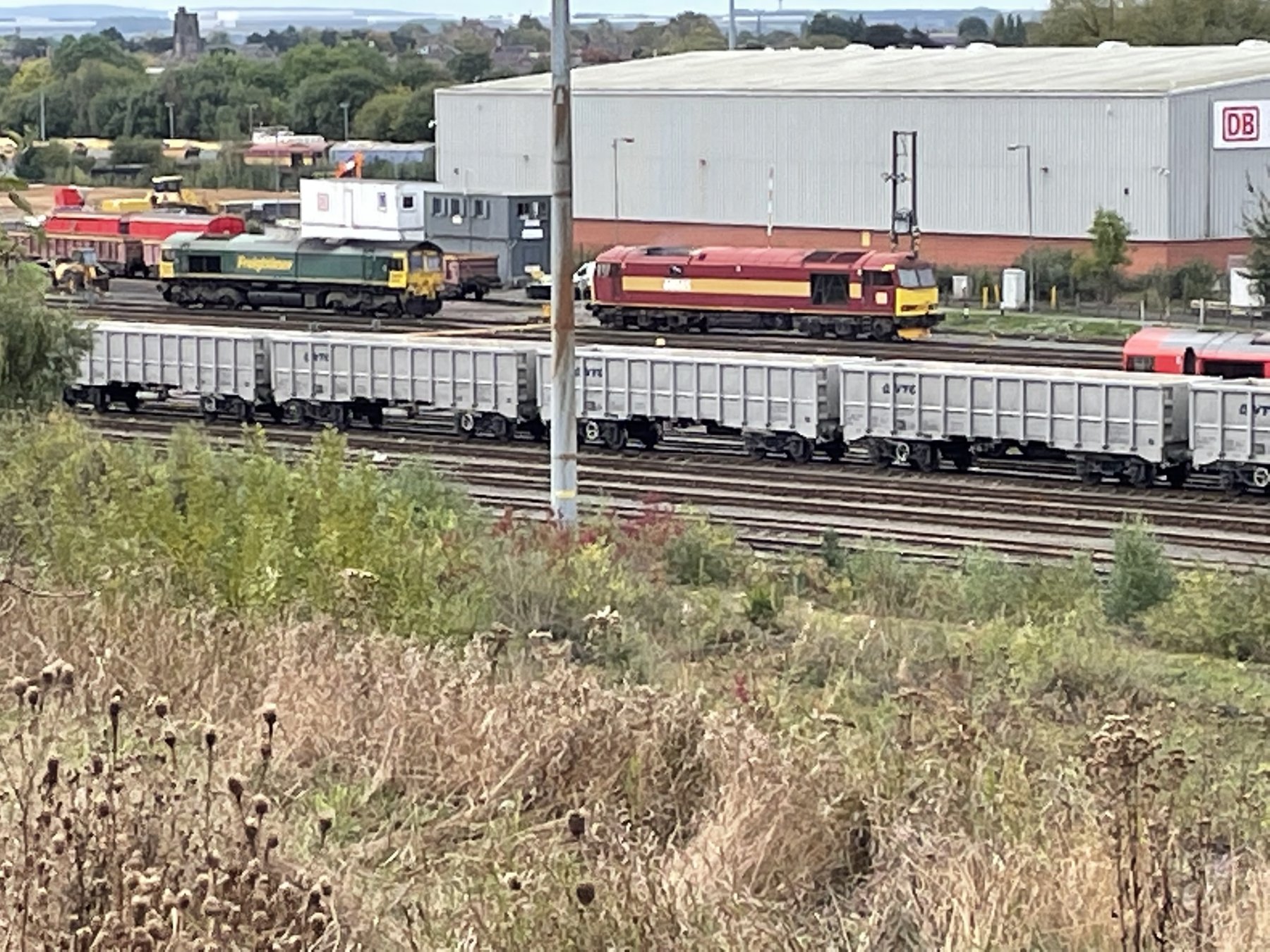 Photo of 60065 at Toton TMD — trainlogger