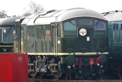 D5054 - Class 24 / Locomotives — trainlogger