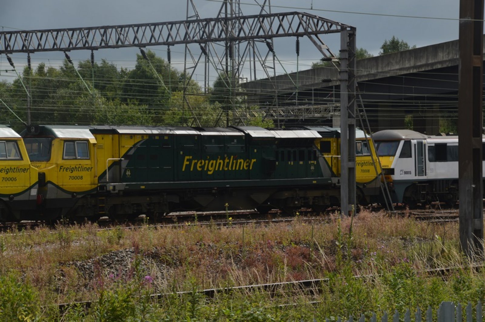 Photo of 70008 at Crewe Basford Hall Freightliner Depot — trainlogger
