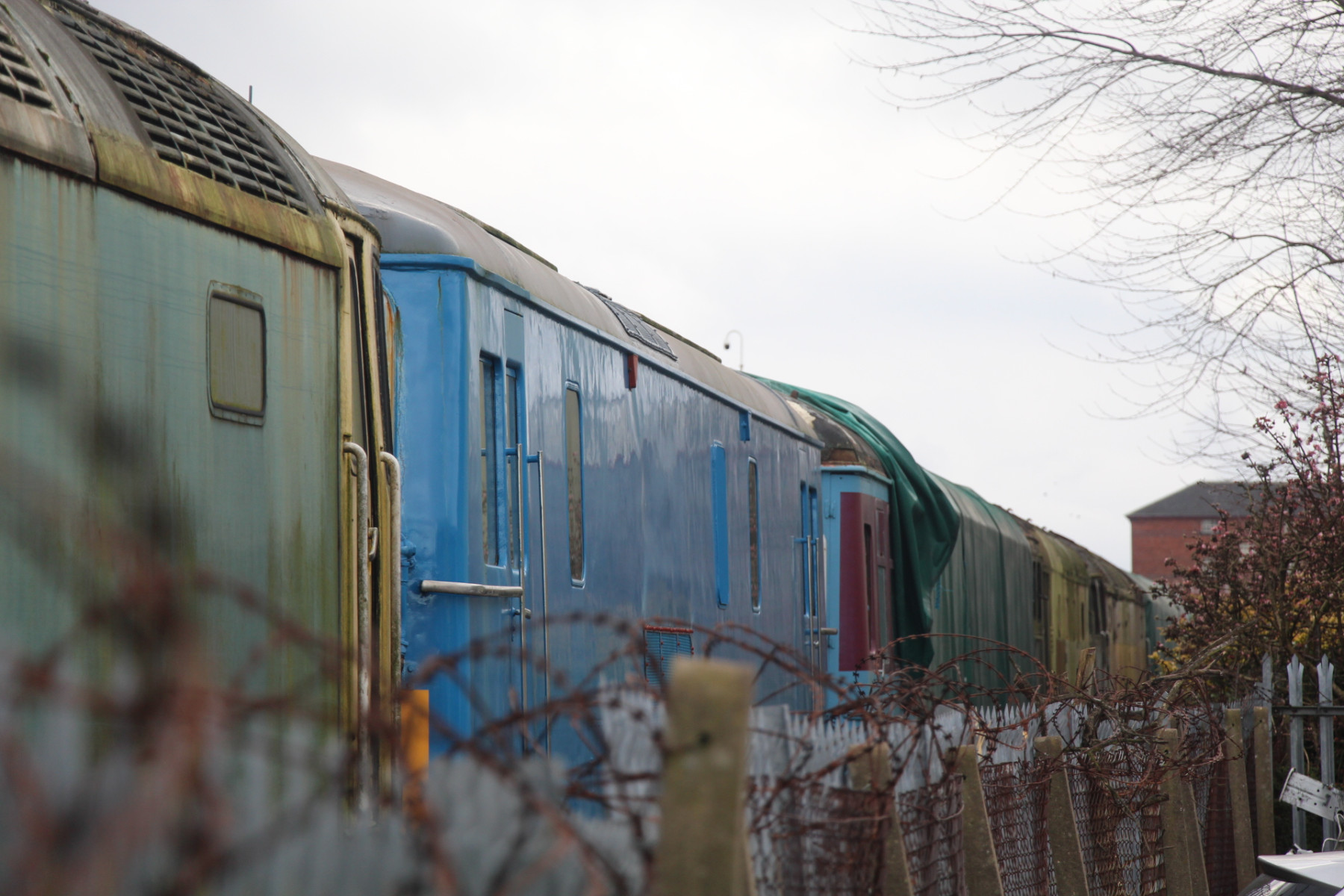 Photo of 73114 at Burton-on-Trent - Nemesis Rail — trainlogger