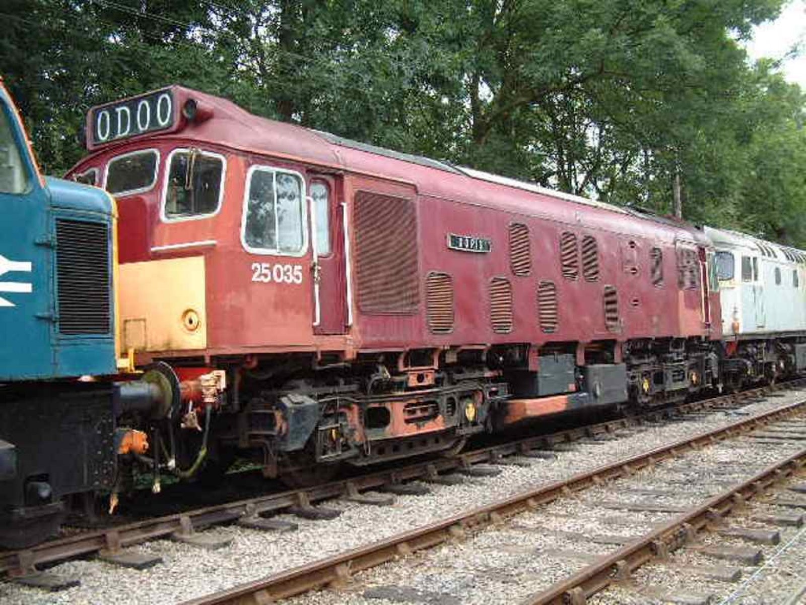 Photo of 25035 at Northampton & Lamport Railway — trainlogger