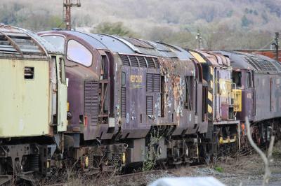 37712 - Class 37 / Locomotives — trainlogger