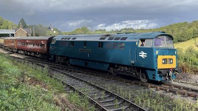 D1015 - Class 52 / Locomotives — trainlogger