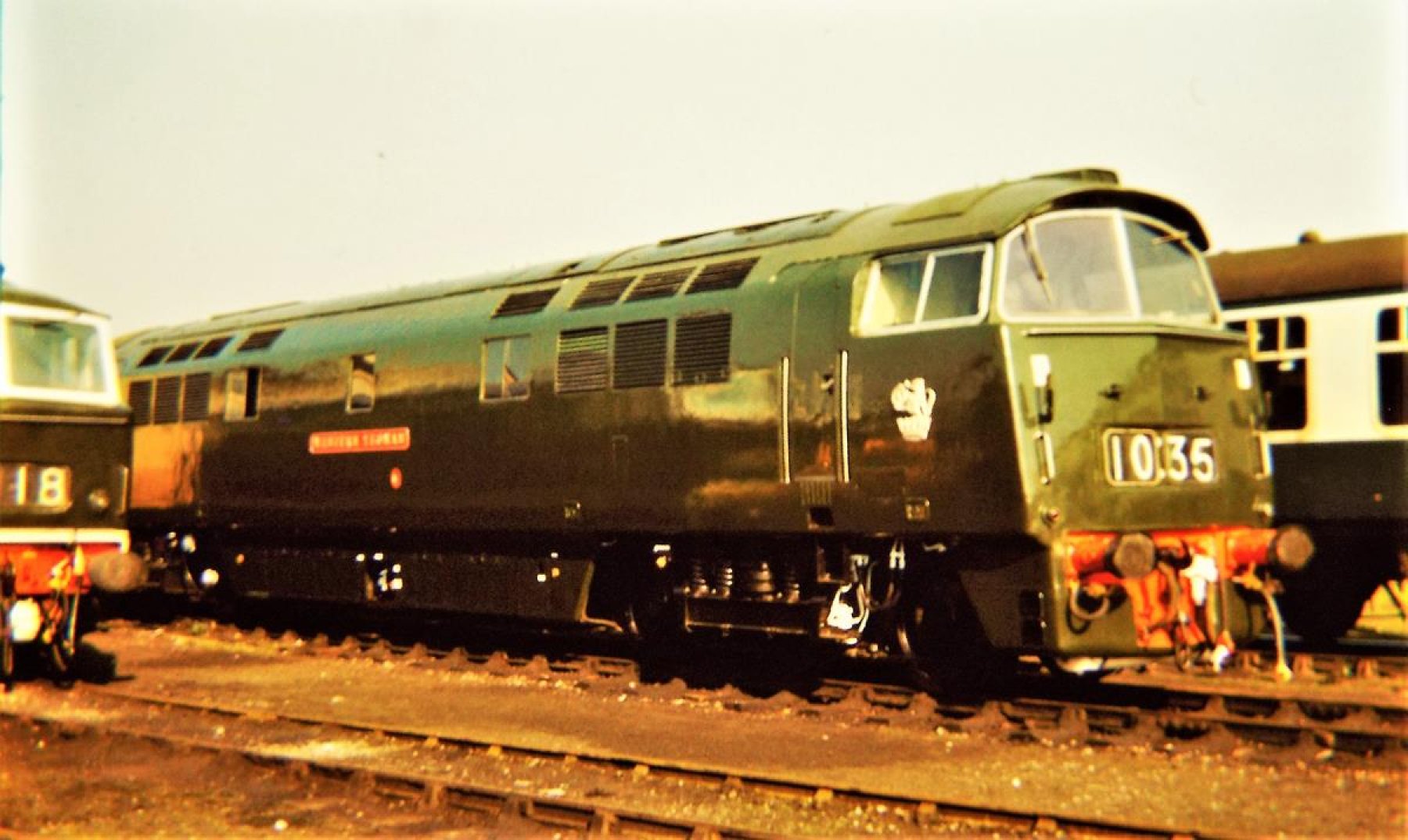 Photo of D1010 at Didcot Railway Centre — trainlogger