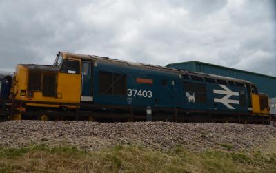 37403 - Class 37 / Locomotives — trainlogger
