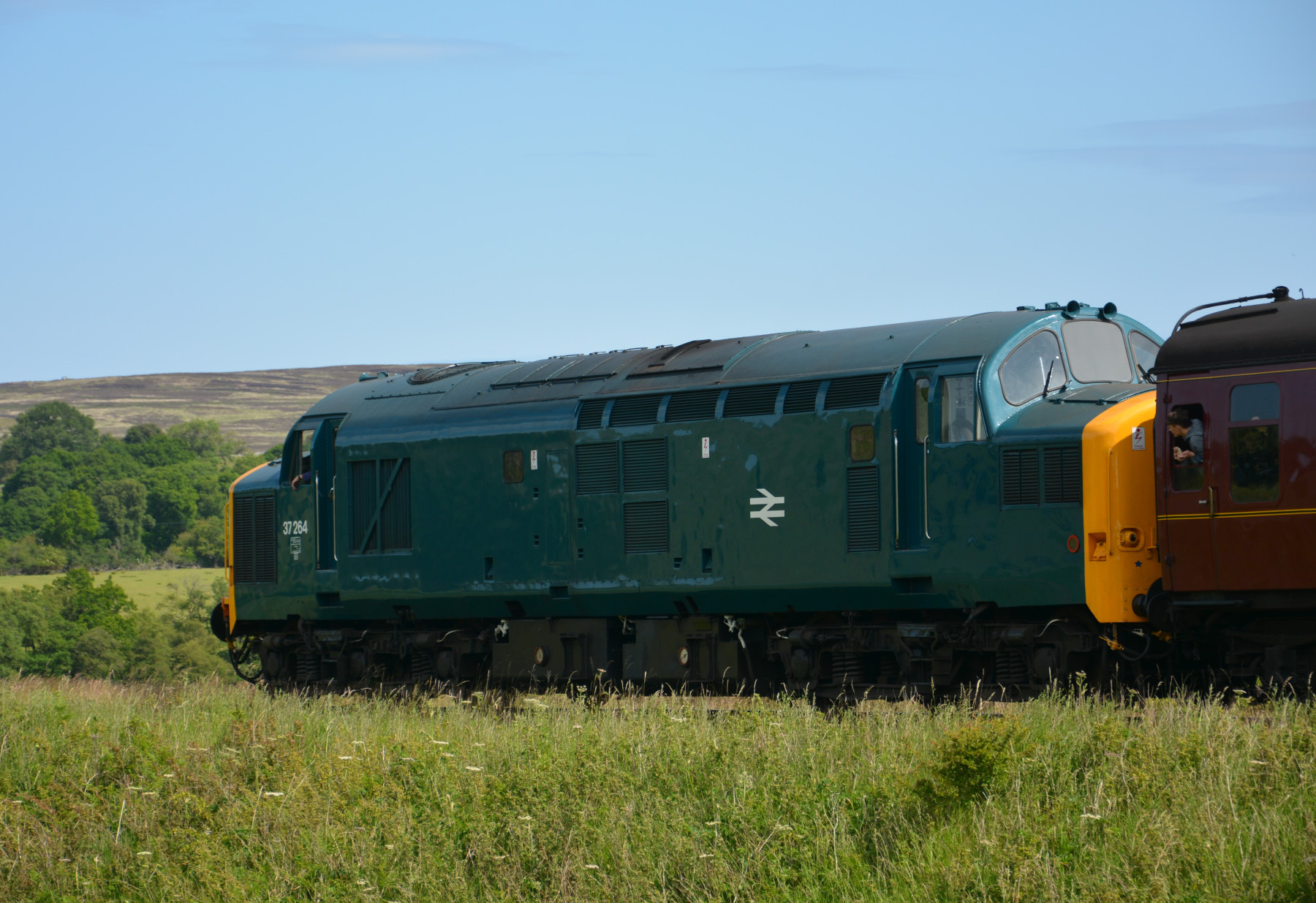 Photo of 37264 at North Yorkshire Moors Railway - Moorgates — trainlogger