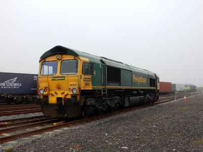 Photo of 66138 and 60004 at Toton TMD — trainlogger