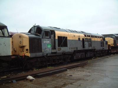 37071 - Class 37 / Locomotives — trainlogger