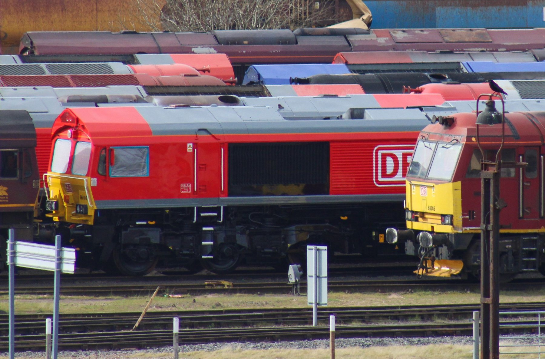 Photo of 66010 at Toton — trainlogger