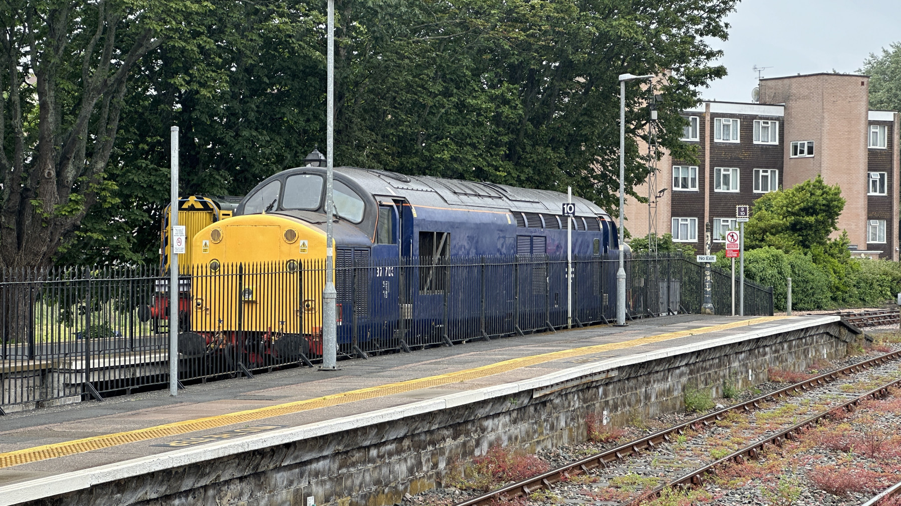 Photo of 37703 at Dartmouth Steam Railway - Paignton Queens Park ...