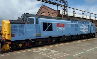 37501 - Class 37 / Locomotives — trainlogger