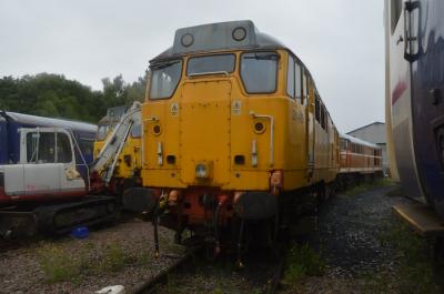 31465 - Class 31 / Locomotives — trainlogger