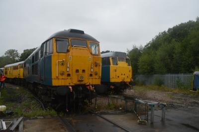 31106 - Class 31 / Locomotives — trainlogger