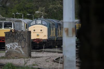 37207 - Class 37 / Locomotives — trainlogger