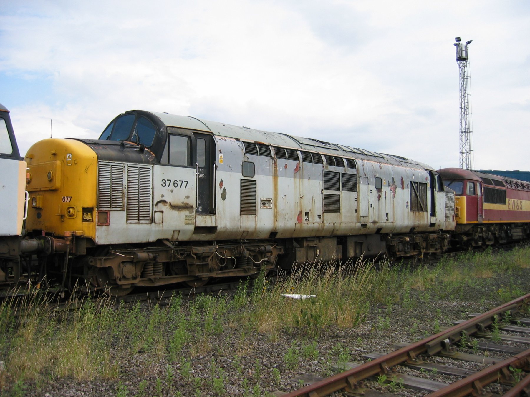 Photo of 37677 at Immingham TMD — trainlogger