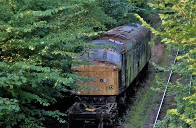 45015 - Class 45 / Locomotives — trainlogger