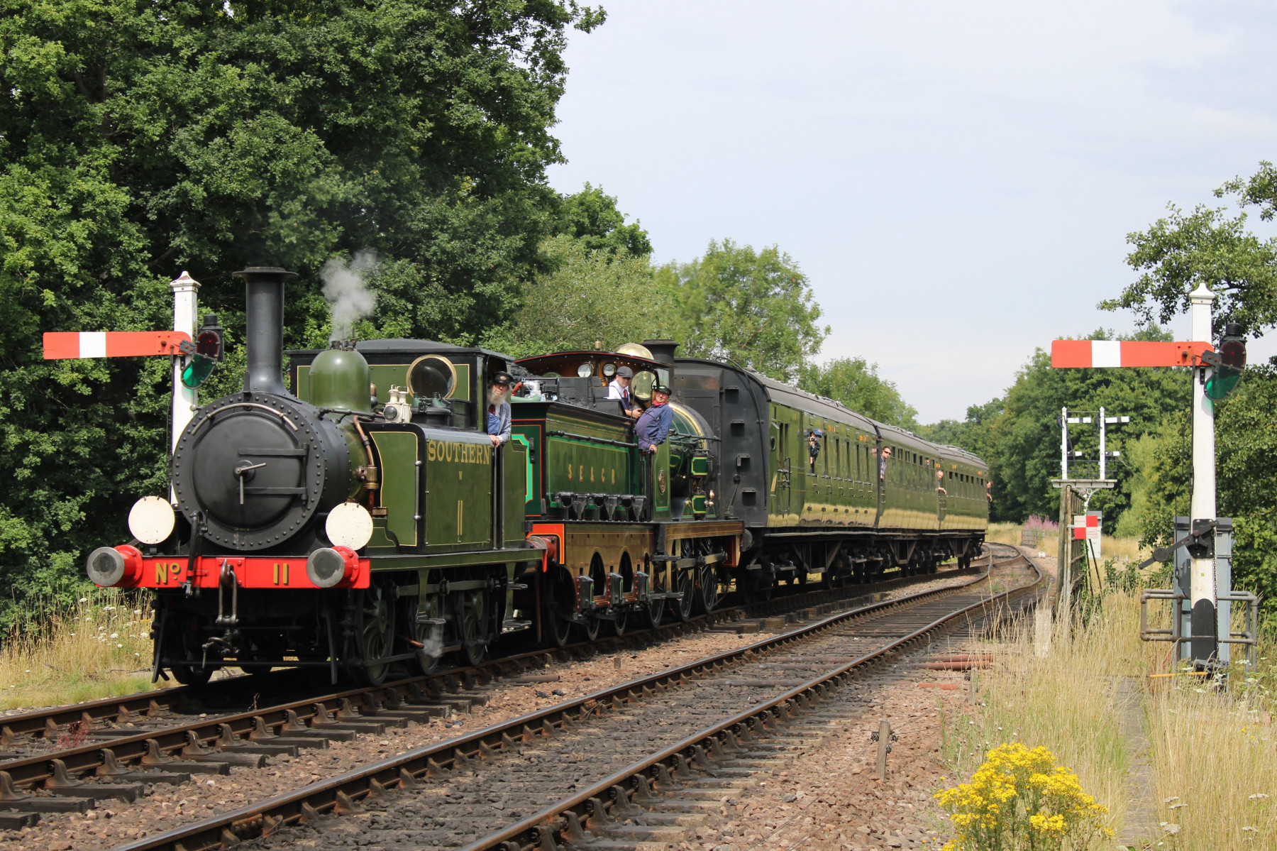 Photo of W11 STEAM and SECR 65 STEAM at Bluebell Railway - Sheffield ...