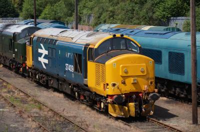 37409 - Class 37 / Locomotives — trainlogger