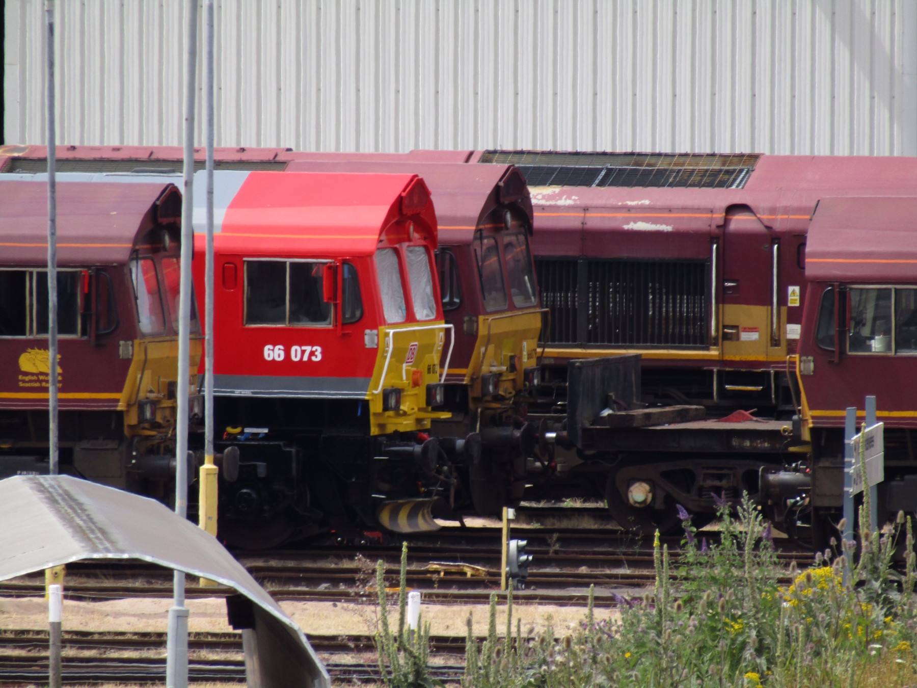 Photo of 66073 and 66079 at Toton TMD — trainlogger