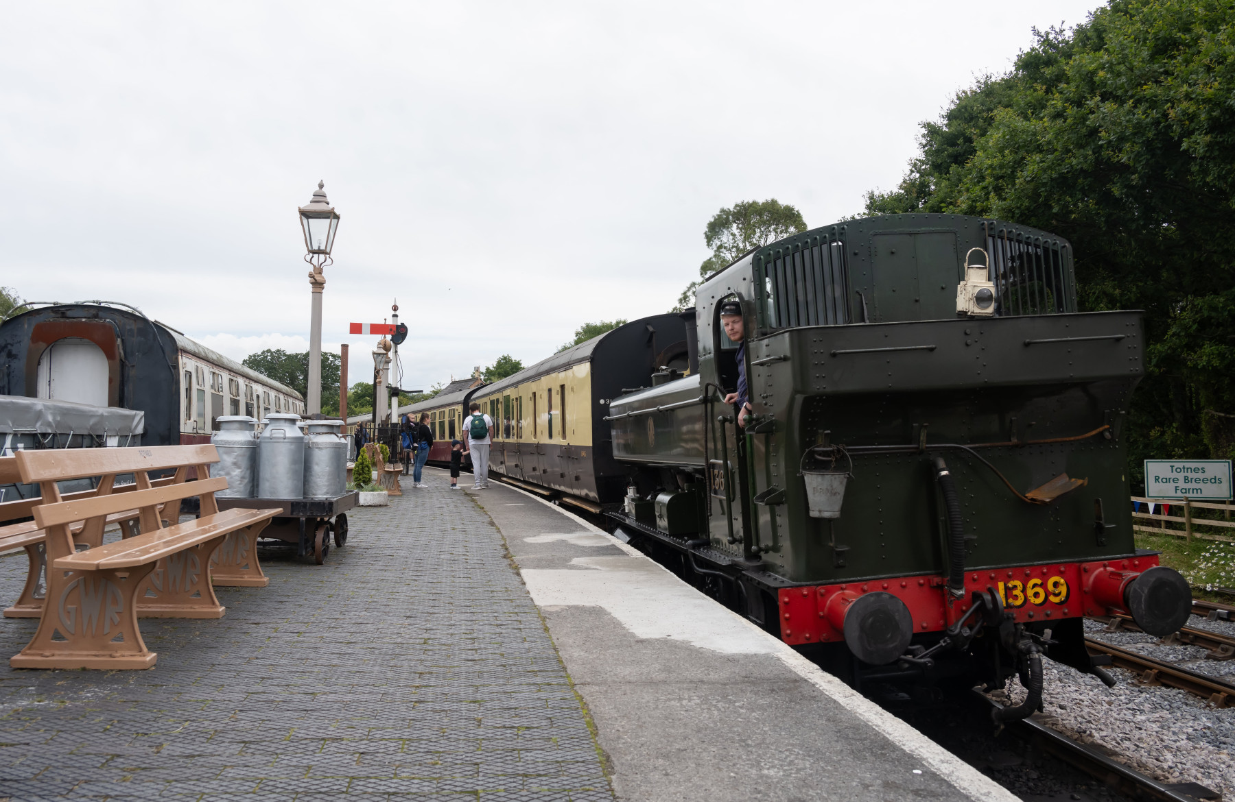 Photo of 1369 steam at South Devon Railway - Totnes Riverside — trainlogger