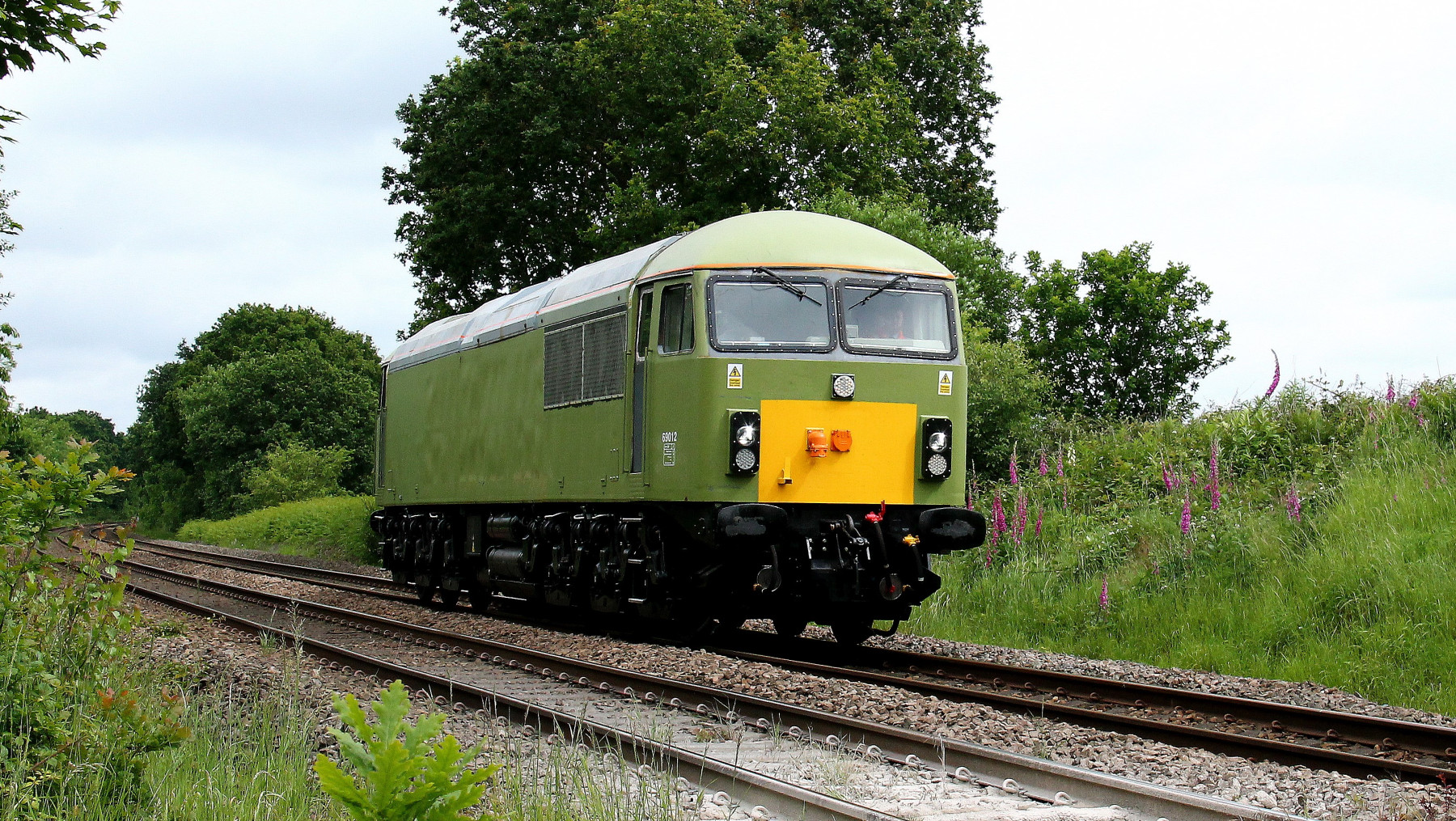 Photo of 69012 at Sutton Park line — trainlogger