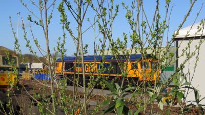 66306 - Class 66 / Locomotives — trainlogger