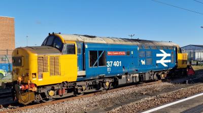 37401 - Class 37 / Locomotives — trainlogger