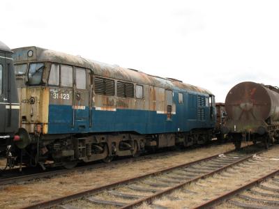 31423 - Class 31 / Locomotives — trainlogger