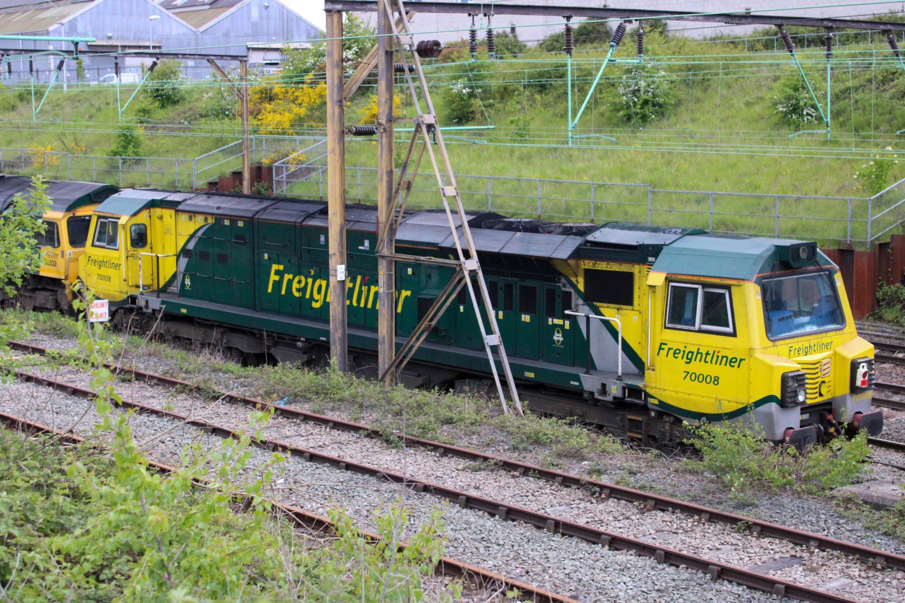 Photo of 70008 at Crewe Basford Hall Freightliner Depot — trainlogger