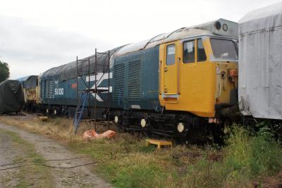 50030 - Class 50 / Locomotives — trainlogger