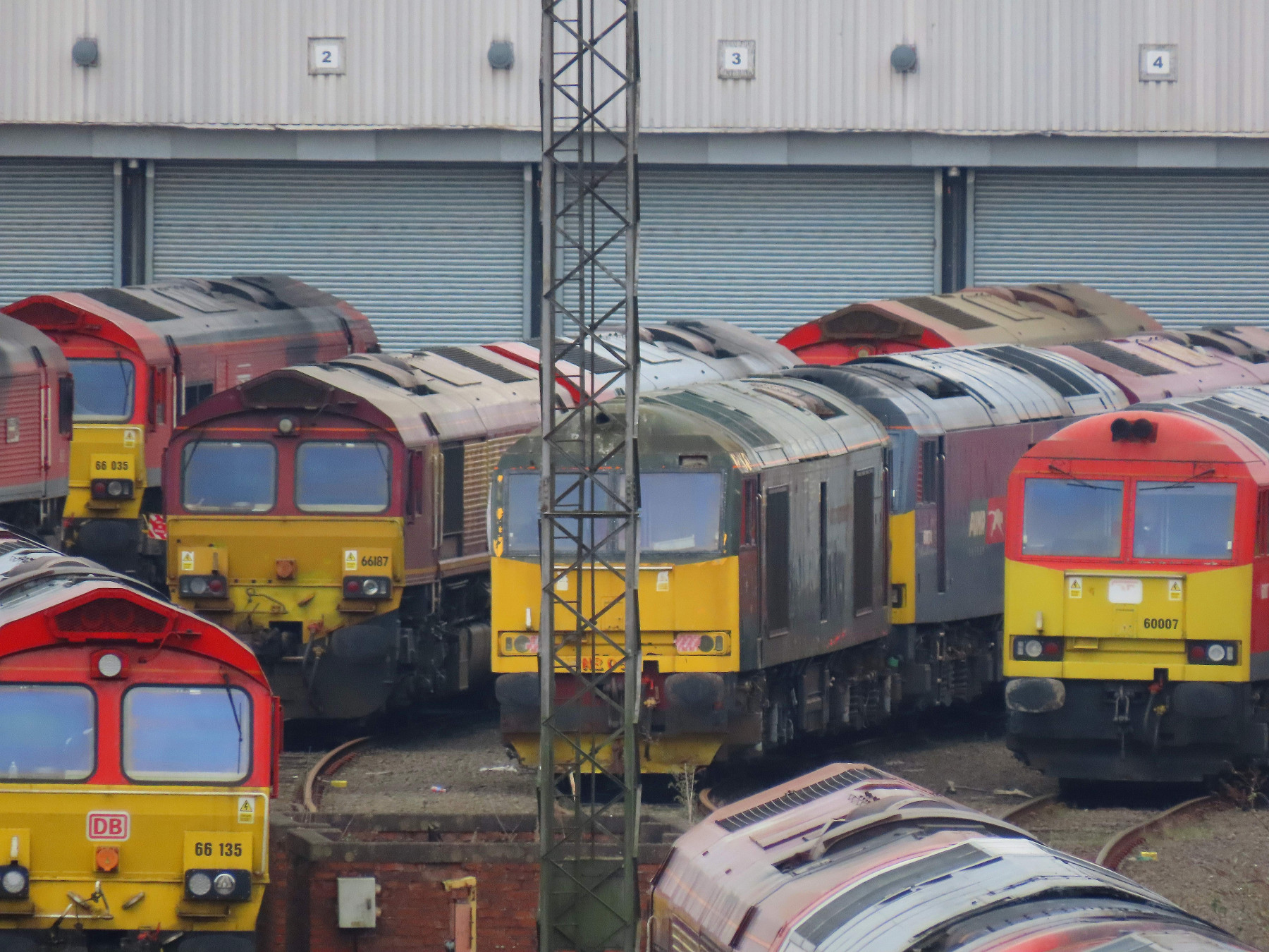 Photo of 60081, 60007, 60074, 66187 and 66035 at Toton TMD — trainlogger