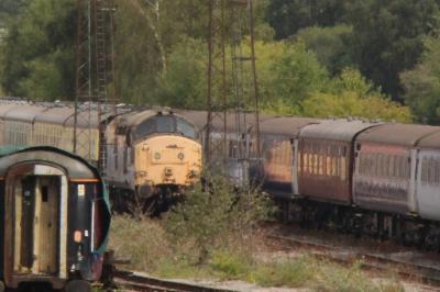 37255 - Class 37 / Locomotives — trainlogger