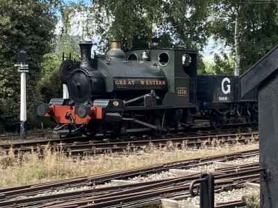 1338 steam - Steam - GWR / Steam Locomotives — trainlogger