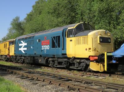 37310 - Class 37 / Locomotives — trainlogger