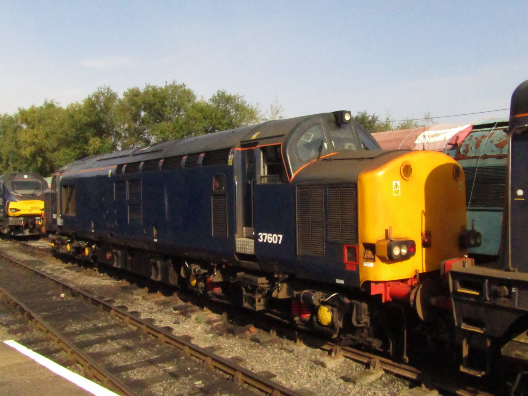 Photo of 37607 at Barrow Hill Roundhouse — trainlogger